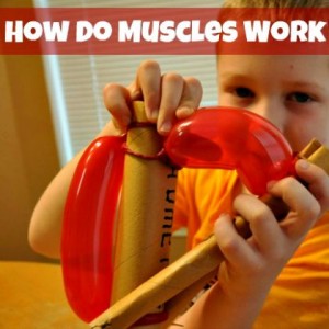 15 Awesome Balloon Science Experiments