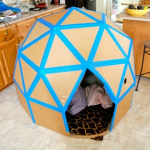 25 Epic Cardboard Forts