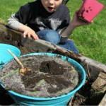 25 Ways To Play With Dirt