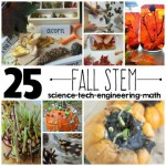 25 Fall STEM Ideas for Kids